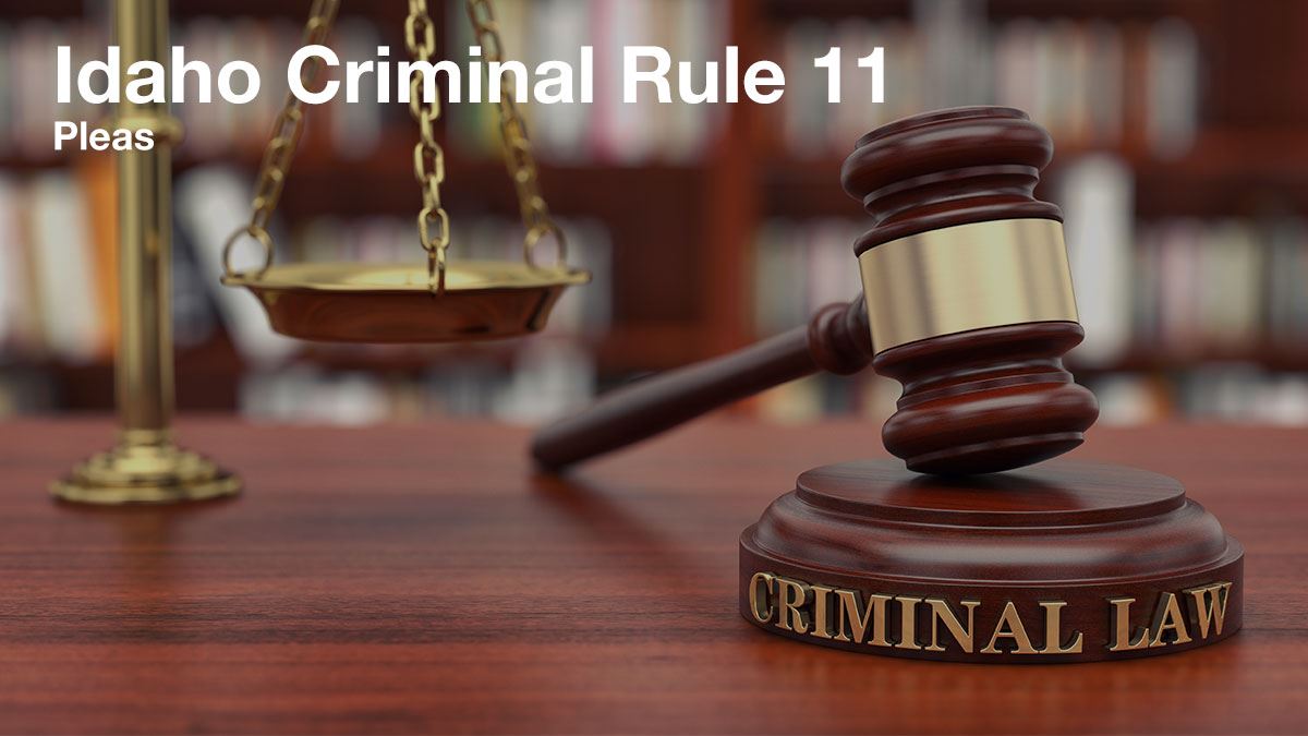 What Is a Rule 11 Plea Agreement?